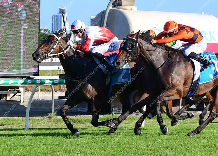 Australian Horse Trainer - Meagher Racing Pty Ltd