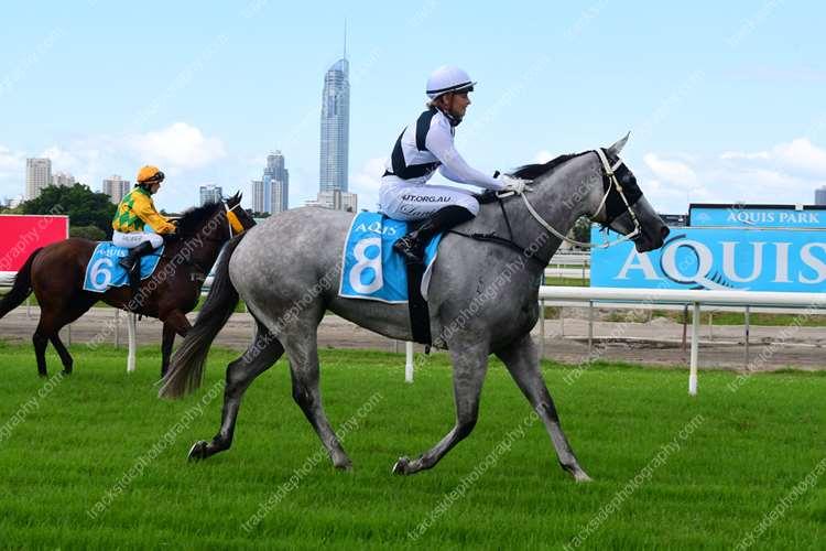 Australian Horse Trainer - Meagher Racing Pty Ltd