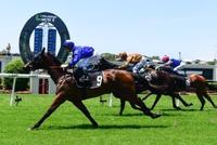 Australian Horse Trainer - Munce Racing