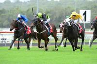 Australian Horse Trainer - Munce Racing