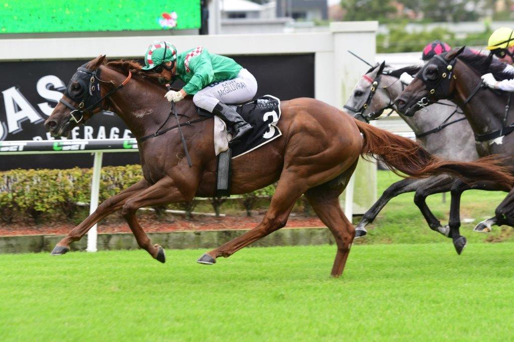 Munce Racing :: Gallery