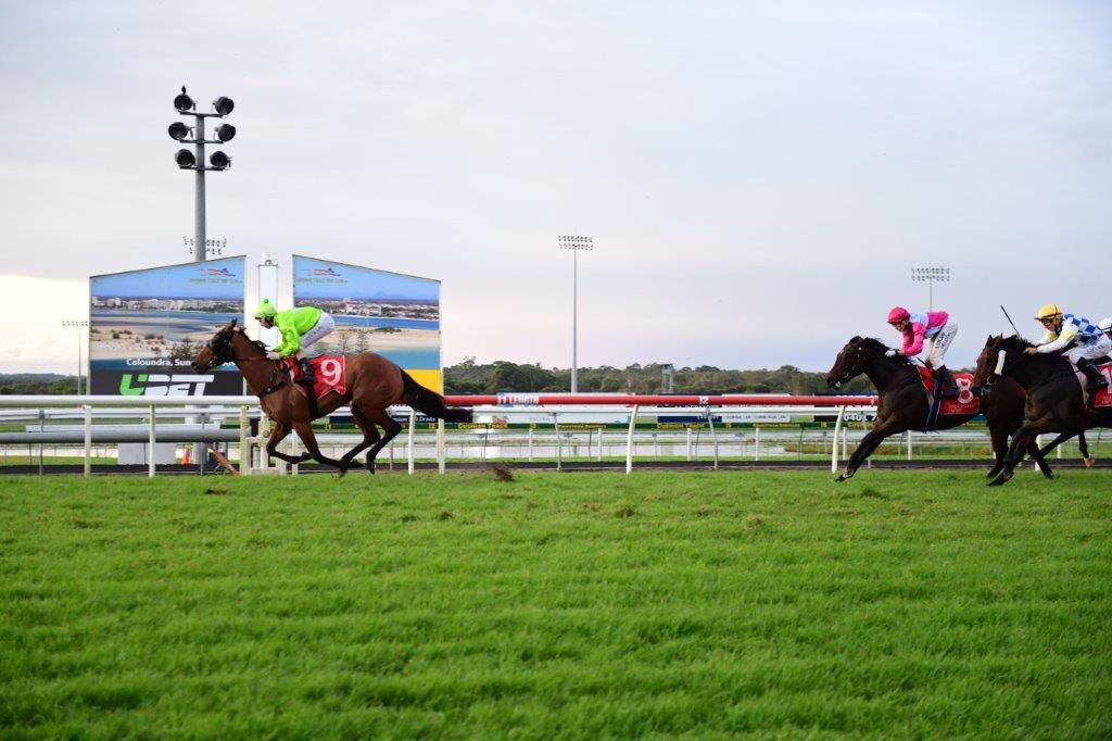 Munce Racing :: Gallery