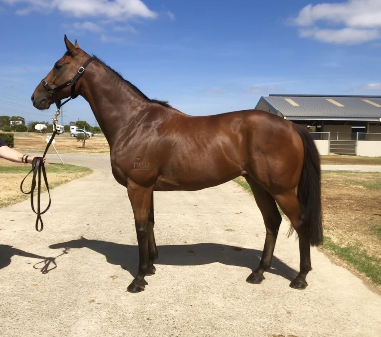 Munce Racing :: Gallery