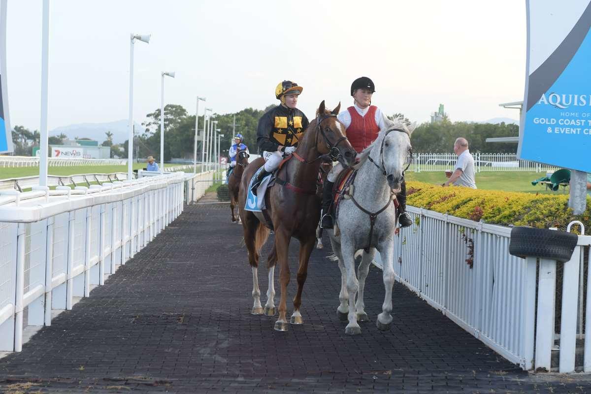 Munce Racing :: Gallery