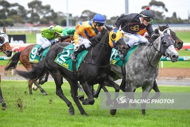 Welcome to the website of 888 Racing - Mornington Vic