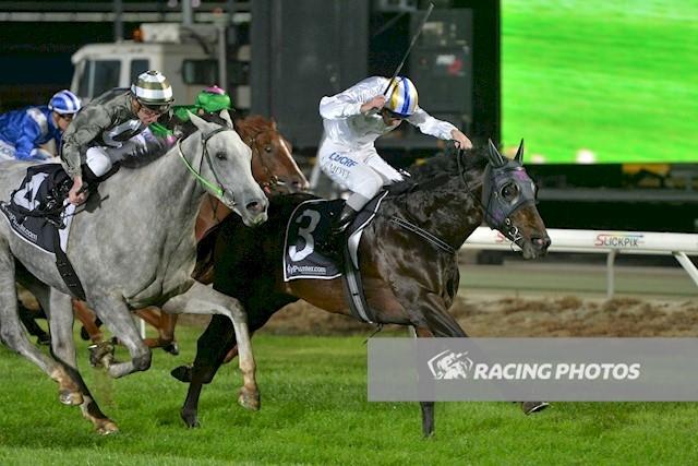 Welcome to the website of 888 Racing - Mornington Vic