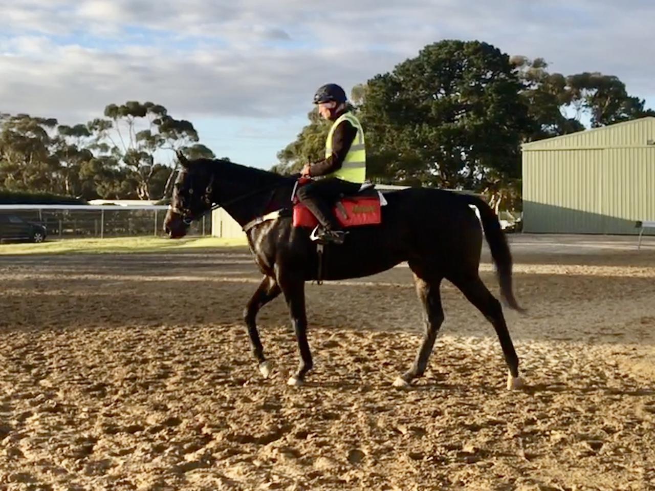 888 Racing :: Gallery