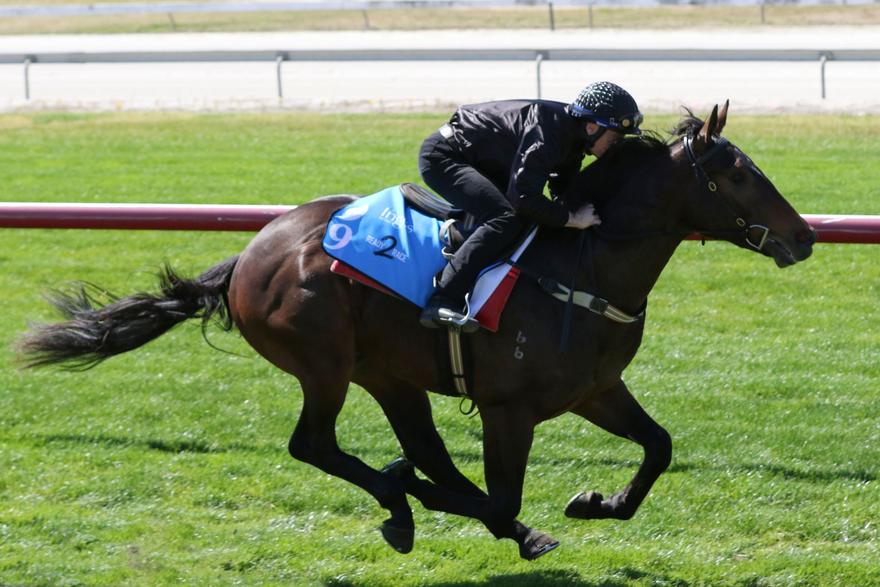 Welcome to the website of 888 Racing - Mornington Vic