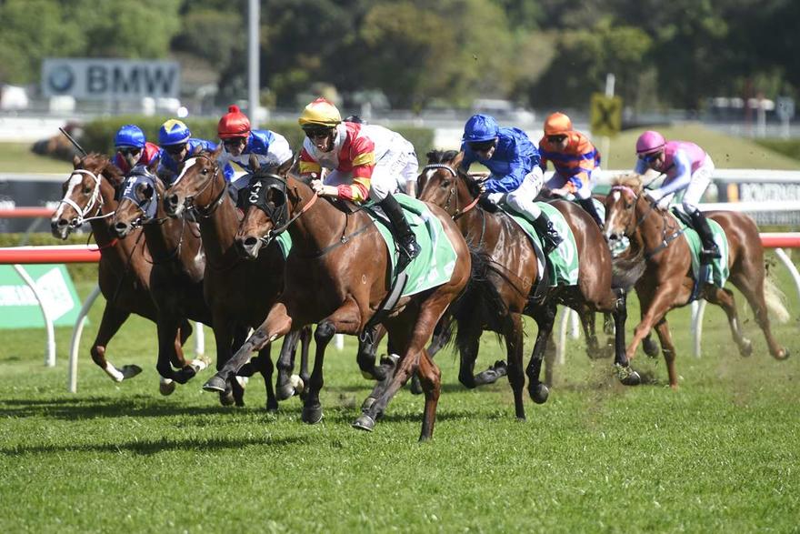 Australian Horse Trainer - Anthony & Edward Cummings Racing