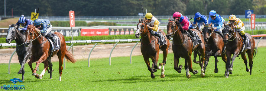 Australian Horse Trainer - Anthony & Edward Cummings Racing