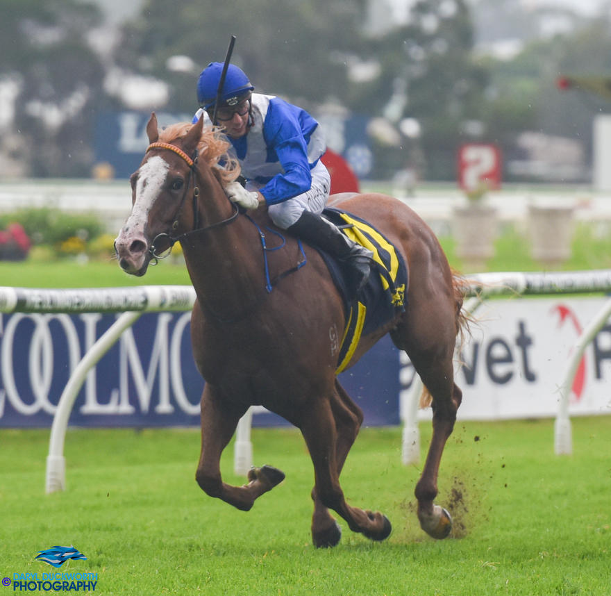 Australian Horse Trainer - Anthony & Edward Cummings Racing