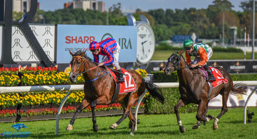 Australian Horse Trainer - Anthony & Edward Cummings Racing