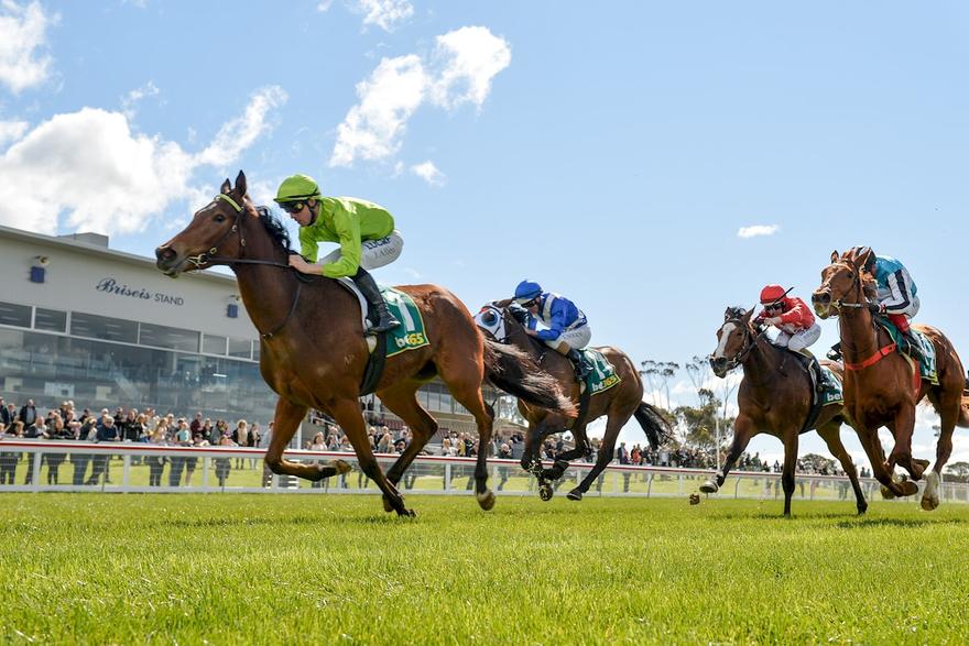 Australian Horse Trainer - Dan O'Sullivan Racing