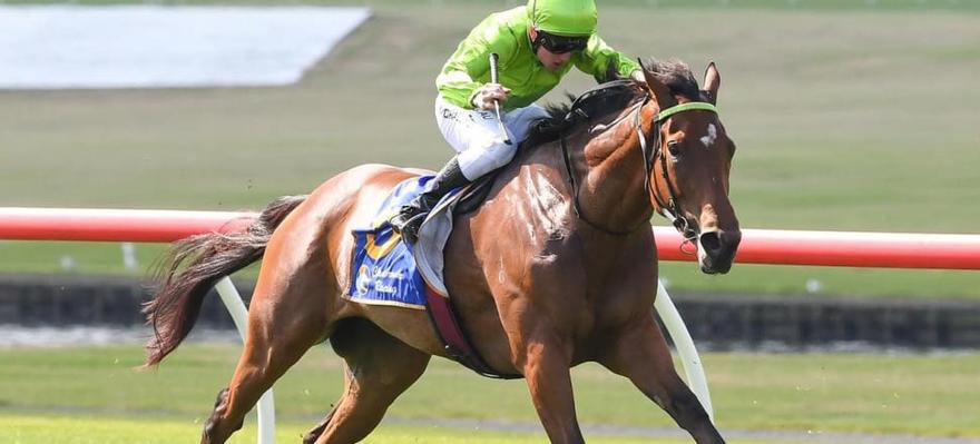 Australian Horse Trainer - Dan O'Sullivan Racing