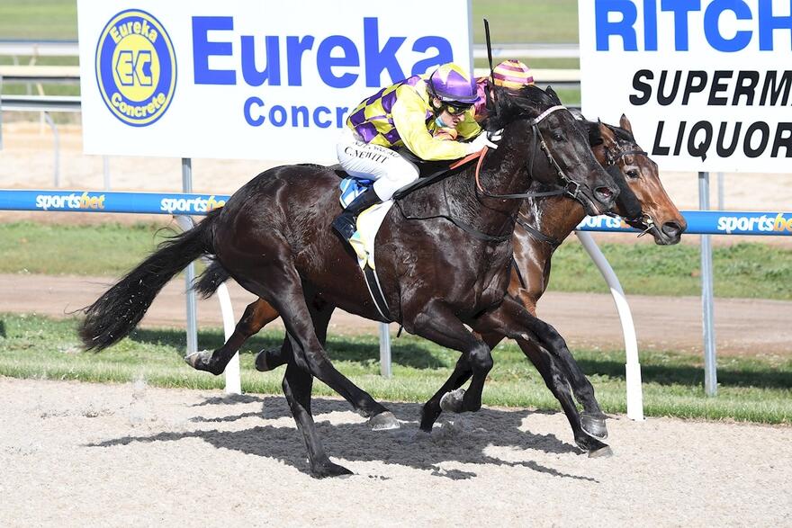 Australian Horse Trainer - Dan O'Sullivan Racing