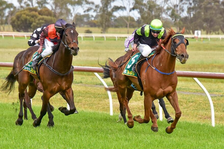 Australian Horse Trainer - Dan O'Sullivan Racing