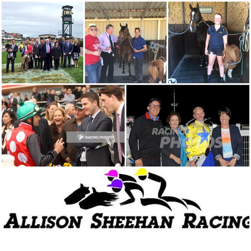 Australian Horse Trainer - Allison Sheehan Racing