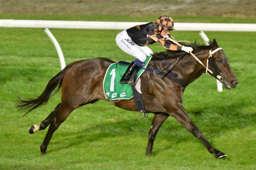 Australian Horse Trainer - Grand Syndicates