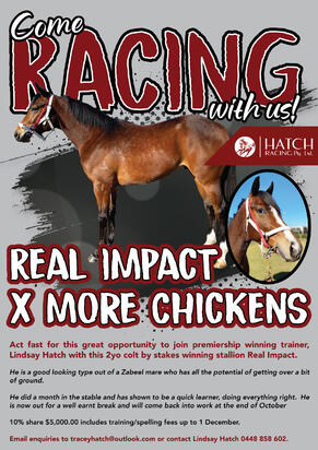 Australian Horse Trainer | Hatch Racing