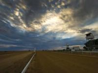 Australian Horse Trainer | Hulbert Racing | Peter and Will Hulbert