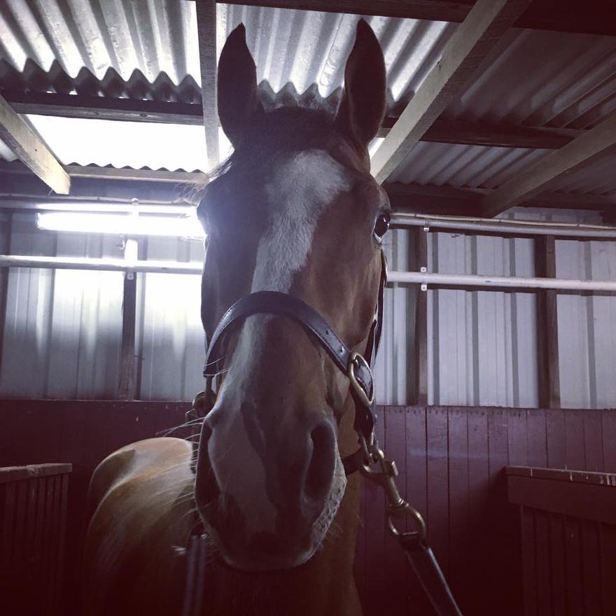 Welcome to the website of Griffiths Racing | Griffiths Racing