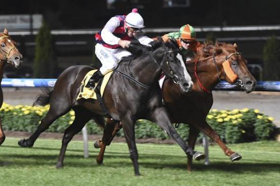 Welcome to the website of Griffiths Racing | Griffiths Racing