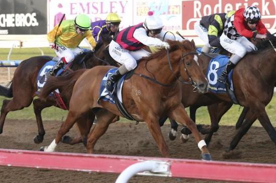 Welcome to the website of Griffiths Racing | Griffiths Racing