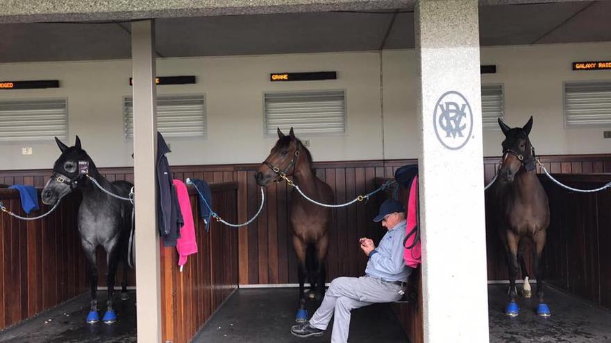 Welcome to the website of Griffiths Racing | Griffiths Racing