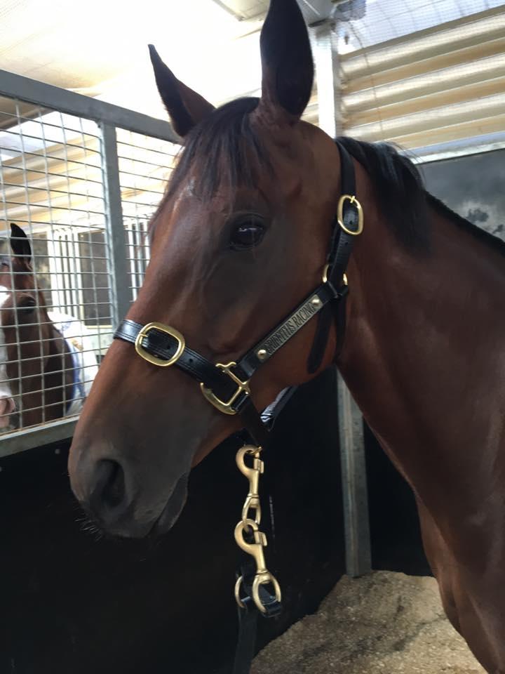 Welcome to the website of Griffiths Racing | Griffiths Racing