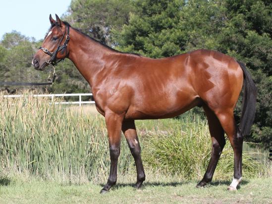 Welcome to the website of Griffiths Racing | Griffiths Racing