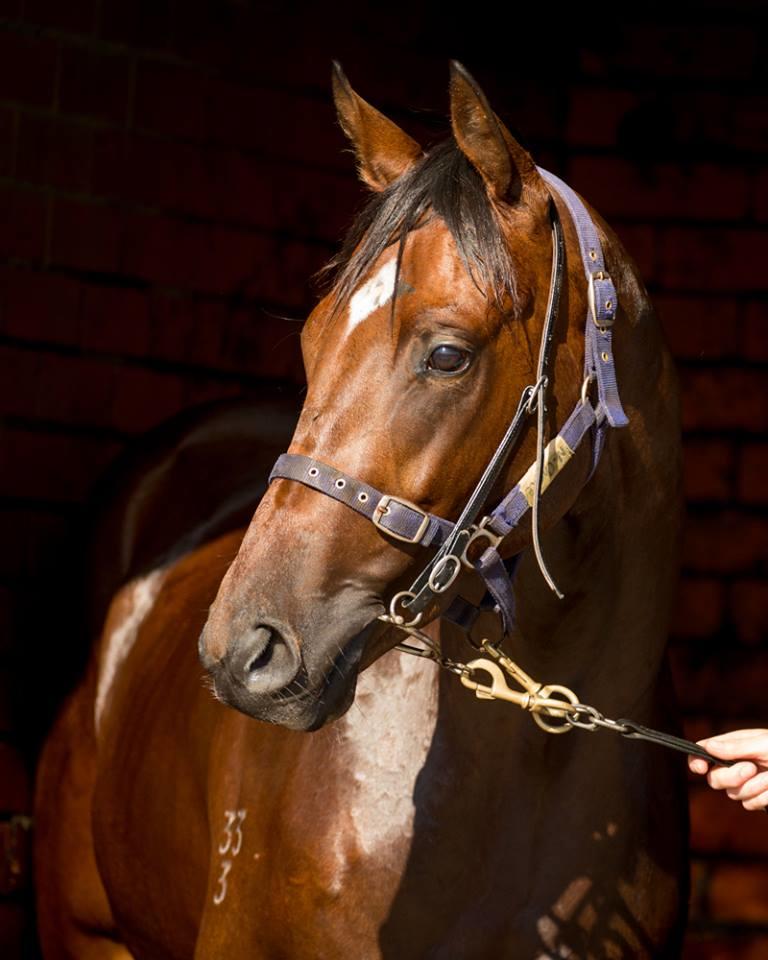 Welcome to the website of Griffiths Racing | Griffiths Racing