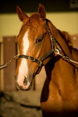 Welcome to the website of Griffiths Racing | Griffiths Racing