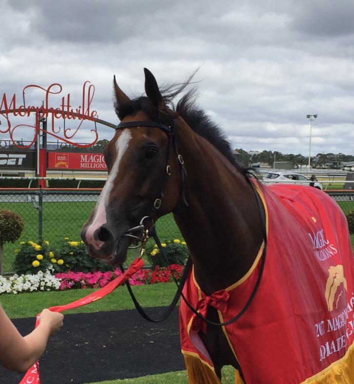 Welcome to the website of Griffiths Racing | Griffiths Racing