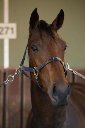 Welcome to the website of Griffiths Racing | Griffiths Racing