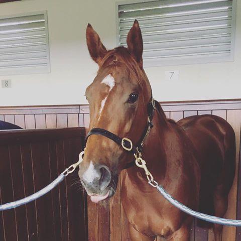 Welcome to the website of Griffiths Racing | Griffiths Racing