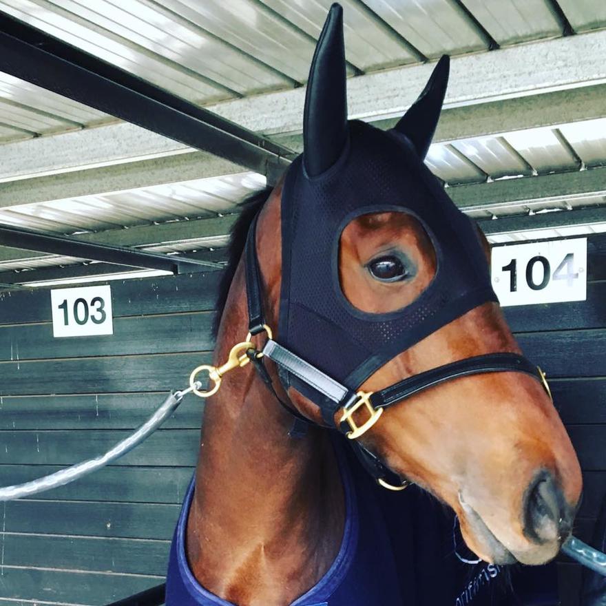 Welcome to the website of Griffiths Racing | Griffiths Racing