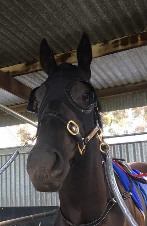 Welcome to the website of Griffiths Racing | Griffiths Racing