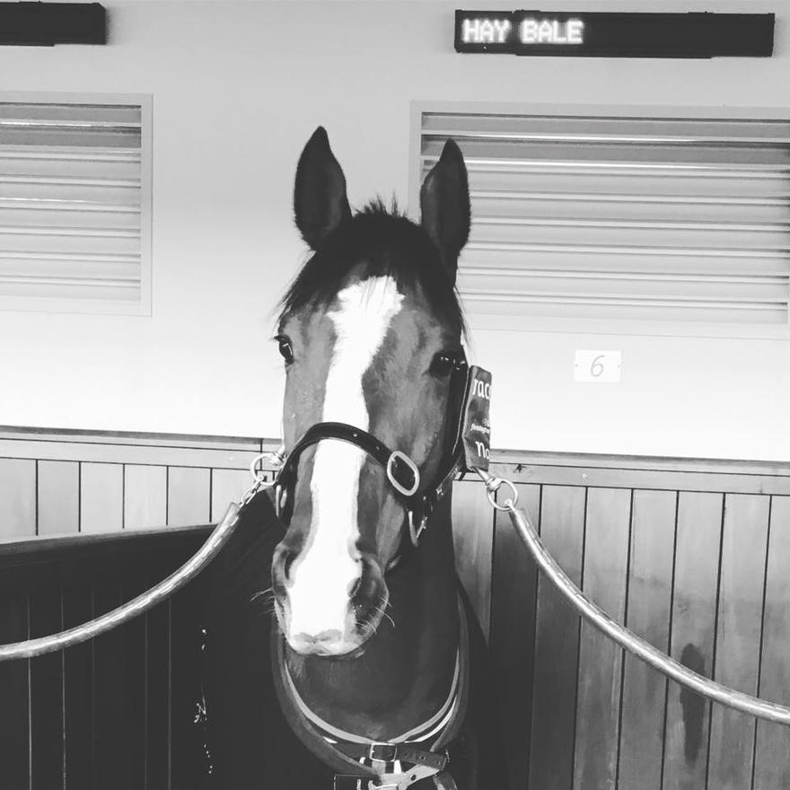 Welcome to the website of Griffiths Racing | Griffiths Racing