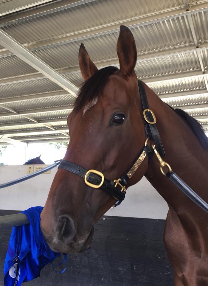 Welcome to the website of Griffiths Racing | Griffiths Racing