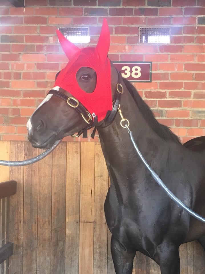 Welcome to the website of Griffiths Racing | Griffiths Racing