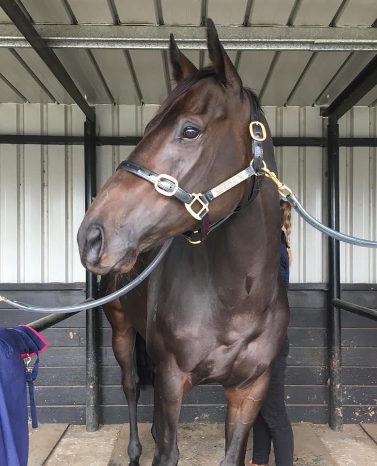 Welcome to the website of Griffiths Racing | Griffiths Racing