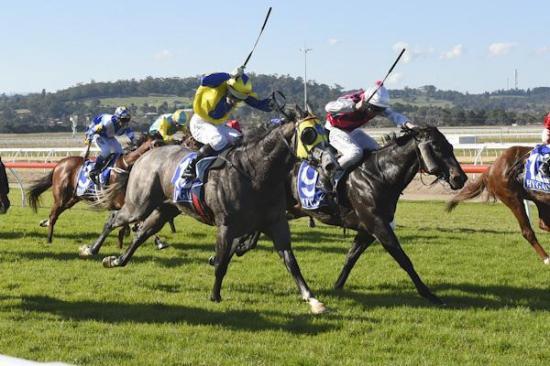 Welcome to the website of Griffiths Racing | Griffiths Racing