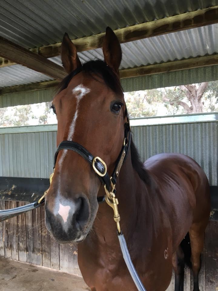 Welcome to the website of Griffiths Racing | Griffiths Racing