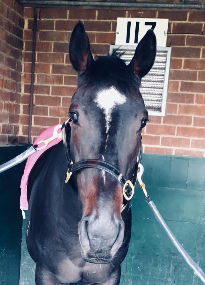 Welcome to the website of Griffiths Racing | Griffiths Racing