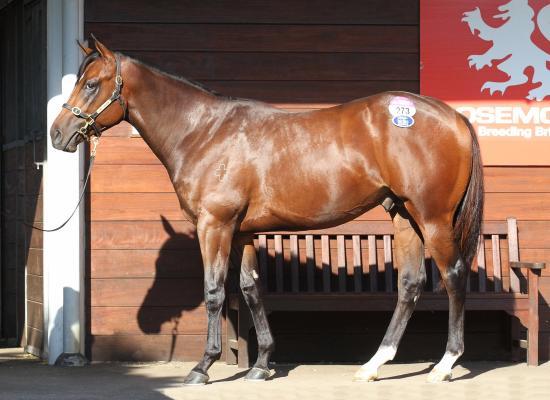 Welcome to the website of Griffiths Racing | Griffiths Racing