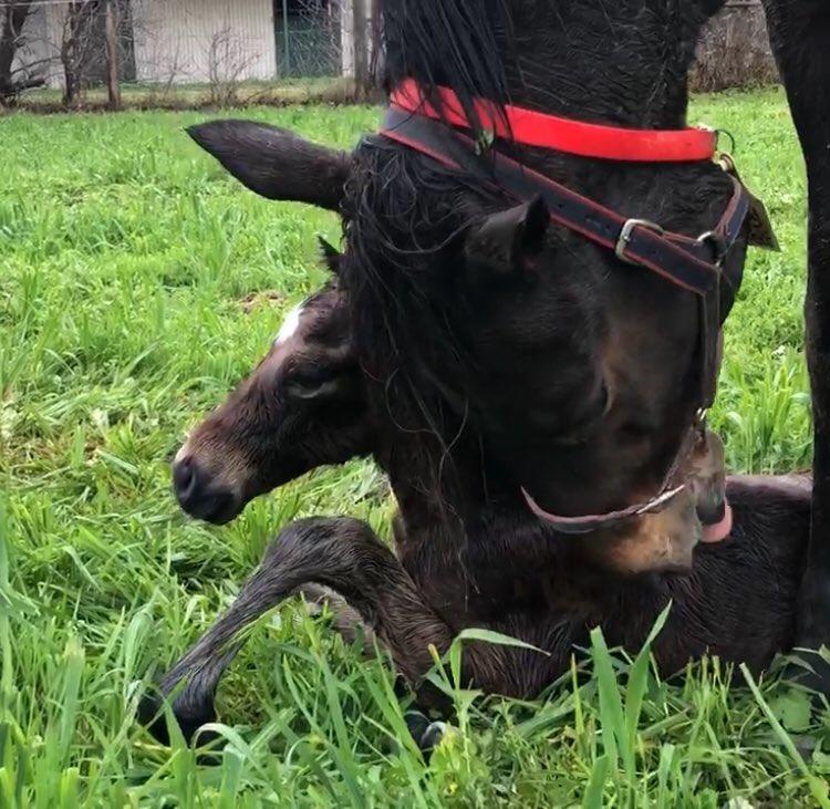 Welcome to the website of Griffiths Racing | Griffiths Racing