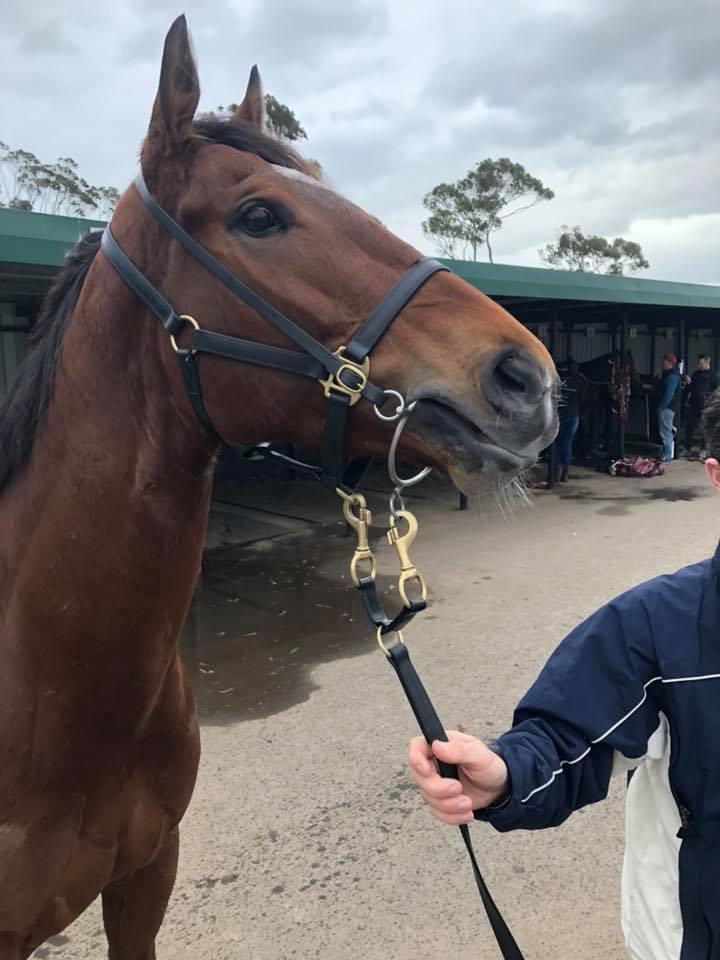 Welcome to the website of Griffiths Racing | Griffiths Racing