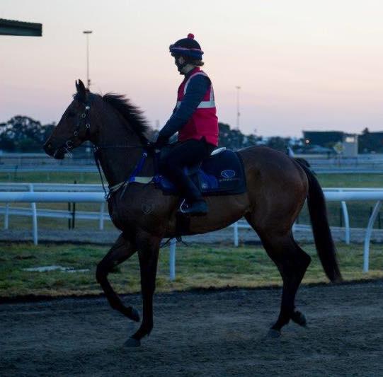 Welcome to the website of Griffiths Racing | Griffiths Racing