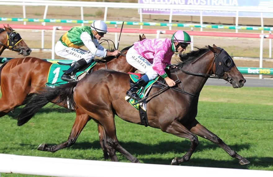 Welcome to the website of Griffiths Racing | Griffiths Racing