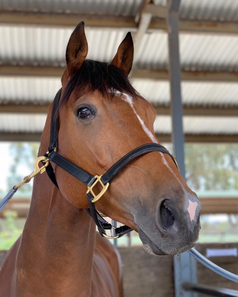 Welcome to the website of Griffiths Racing | Griffiths Racing